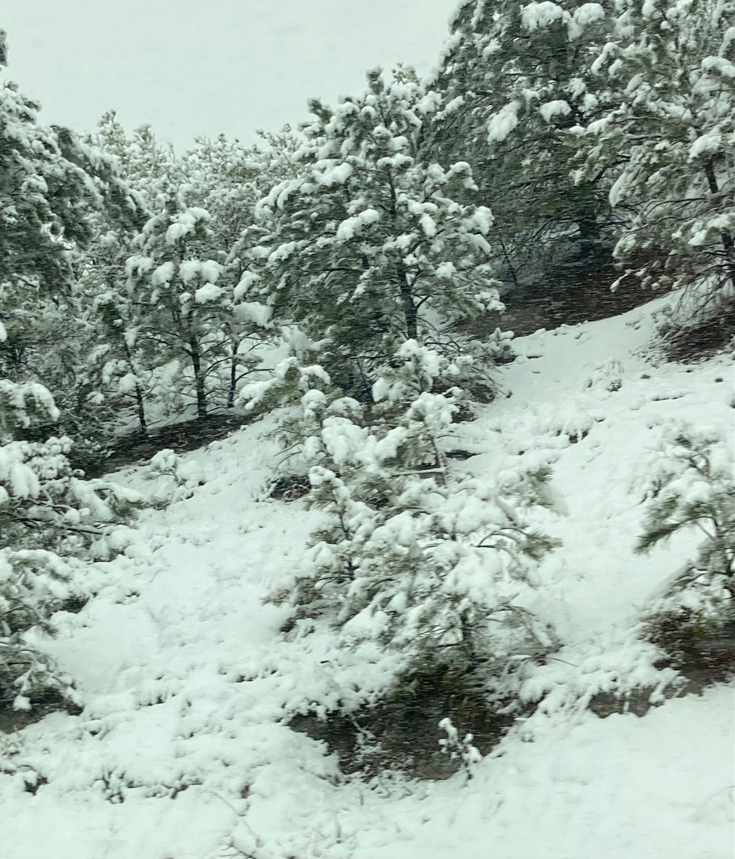 Freshly Fallen Snow – Growing Our Faith Together